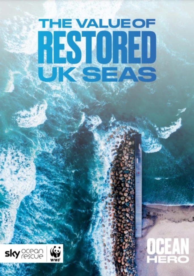 10 research-driven ways to supercharge your climate comms